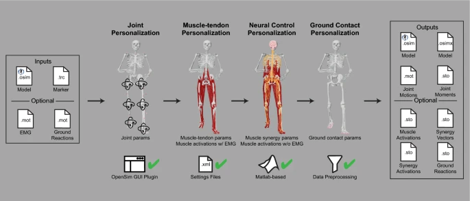 Tool Overviews | Neuromusculoskeletal Modeling (NMSM) Pipeline