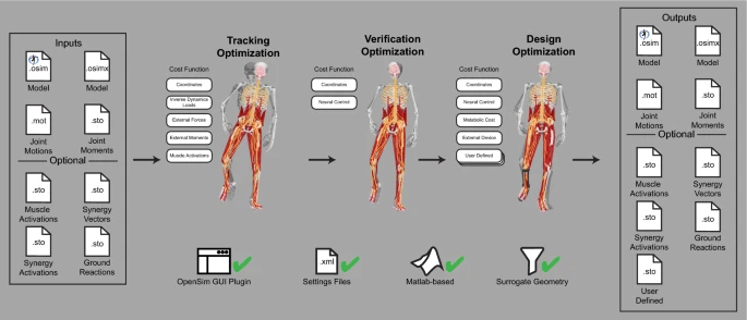 Tool Overviews | Neuromusculoskeletal Modeling (NMSM) Pipeline
